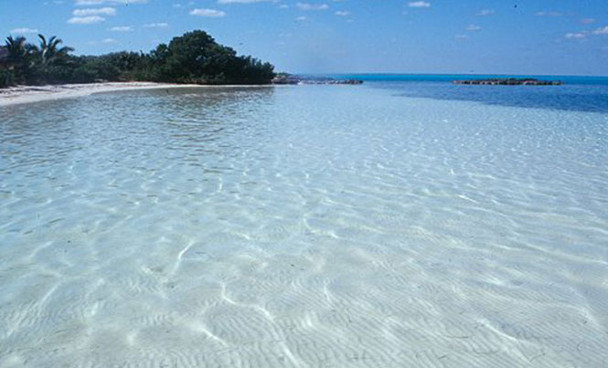 contoy-4 - The Playa Times